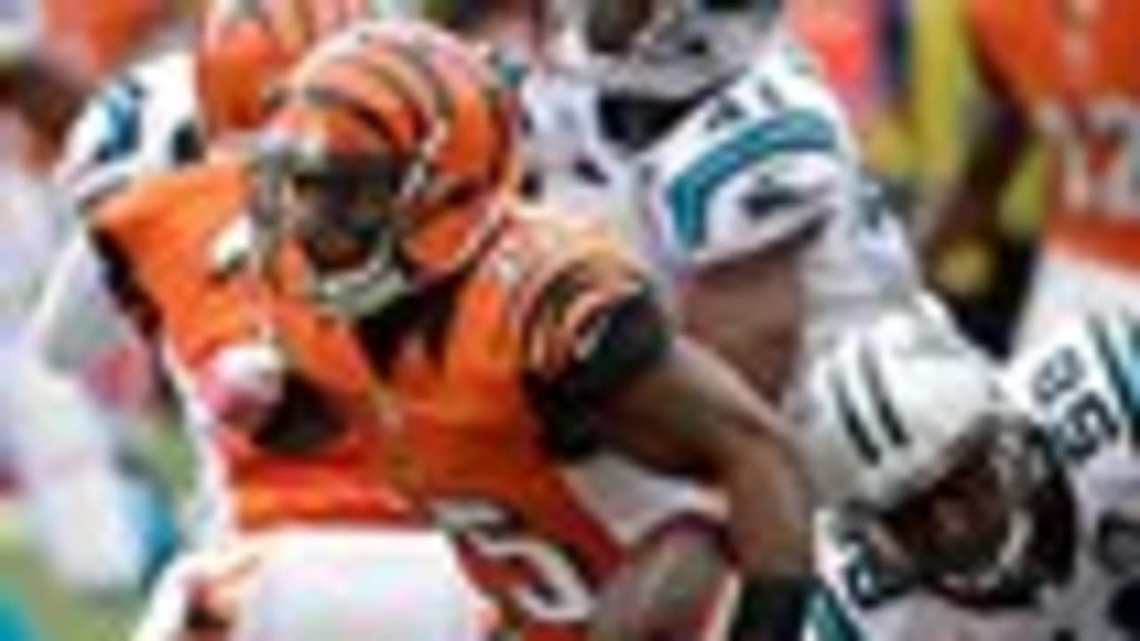 Bengals fit to be tied, 37-37