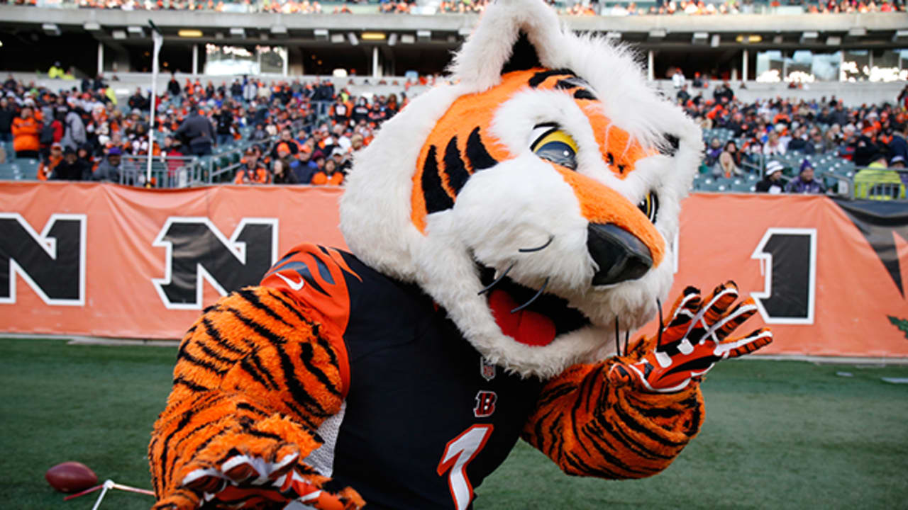 Bengals Valentine's Day Cards