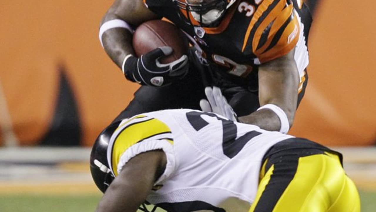 Steelers-Bengals Gallery (11/8/10)