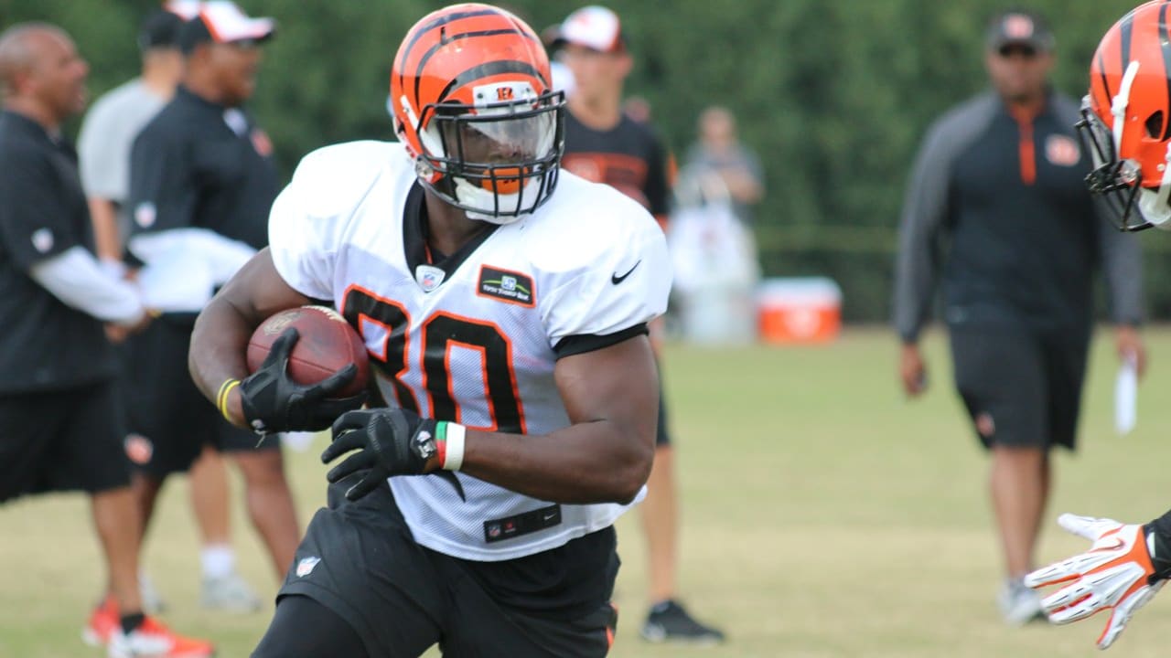 Bengals Training Camp 07/31/2014