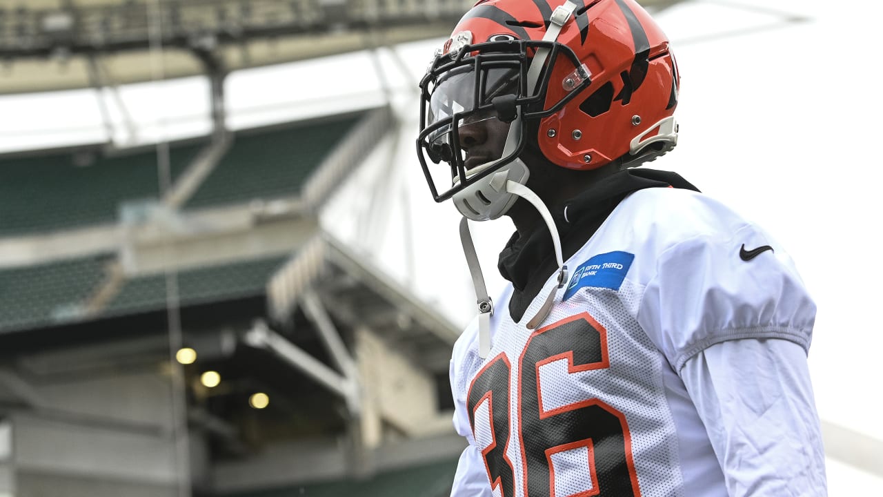 Bengals safety Shawn Williams is enjoying a brilliant season despite ...