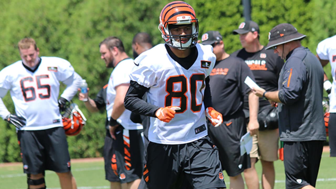 Bengals Looks For Double Play With Malone