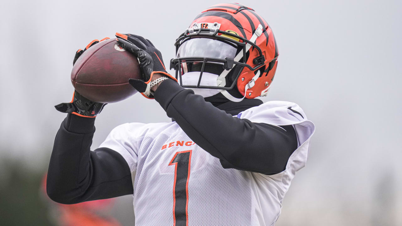 Quick Hits: Bengals Try To Keep Winning Cold War; Hubbard Won't Pick ...
