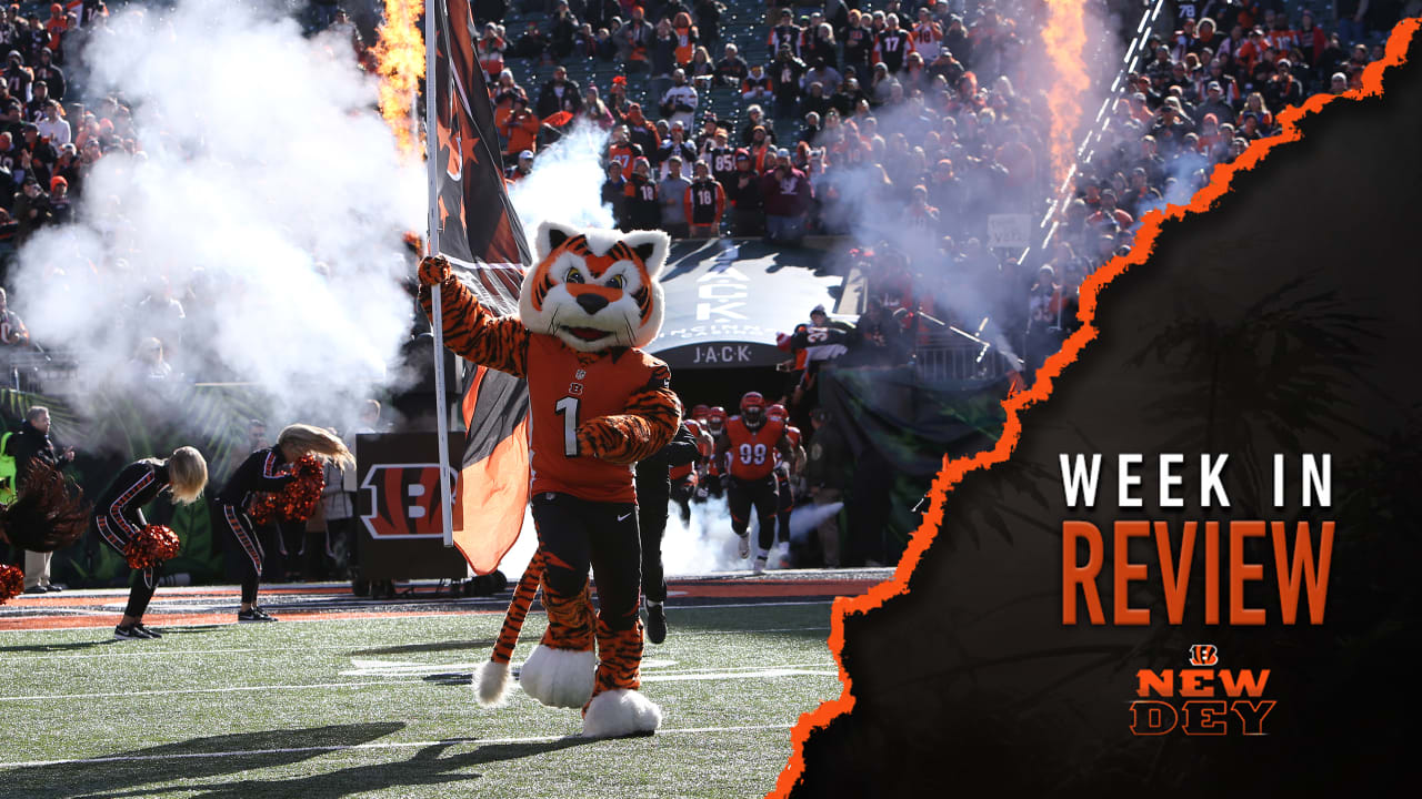 Week In Review: Celebrating 20 Years of Bengals.com