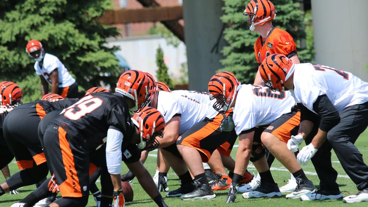 Bengals OTAs 05/26