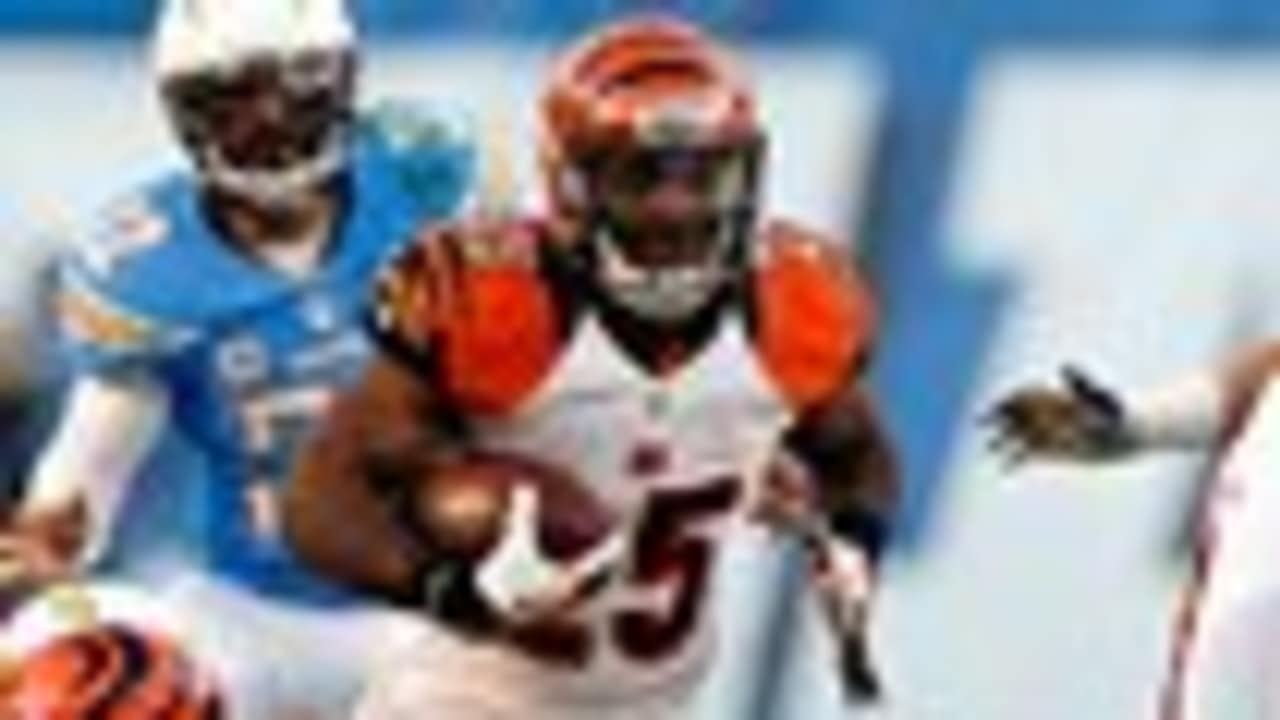 Cold-eyed Bengals on prowl