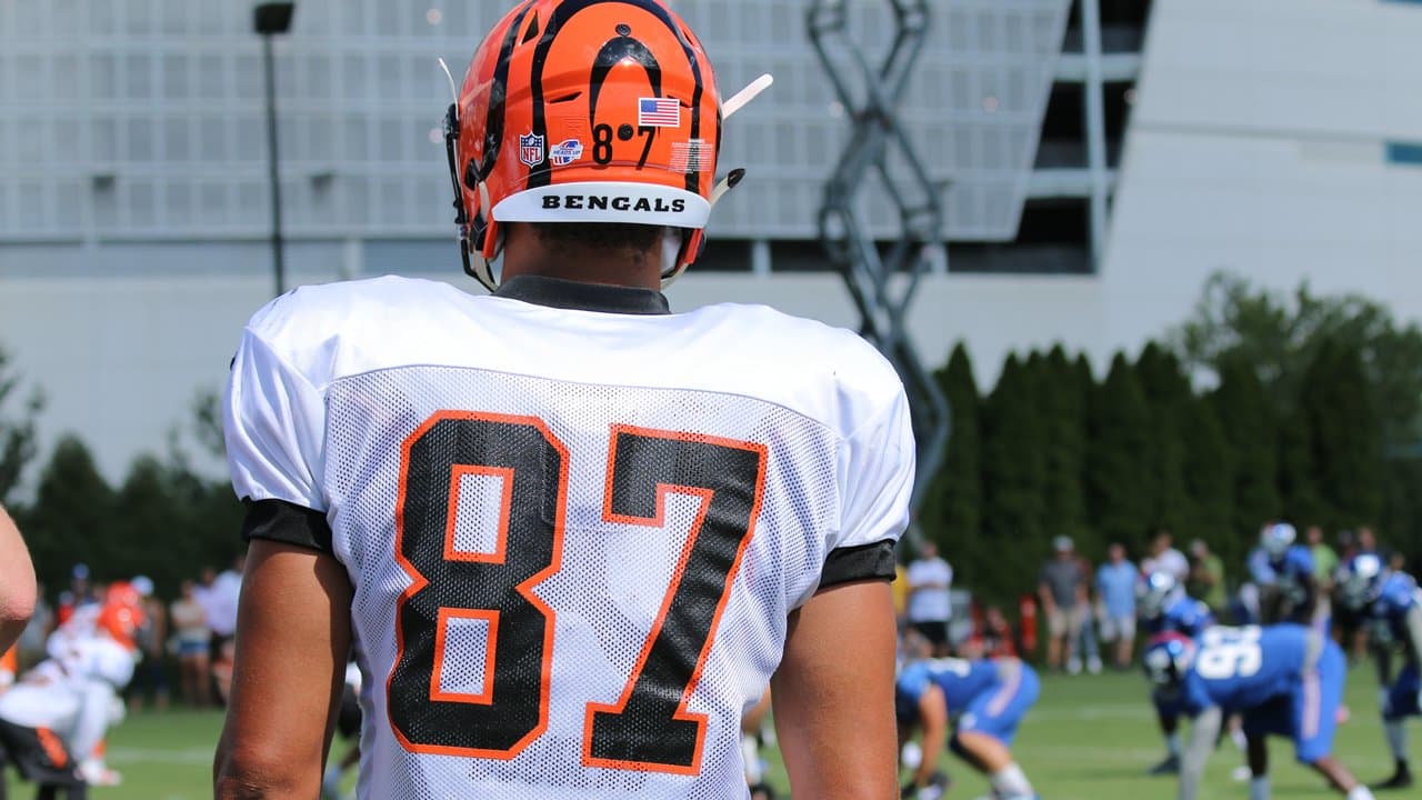 Bengals Training Camp 08/12