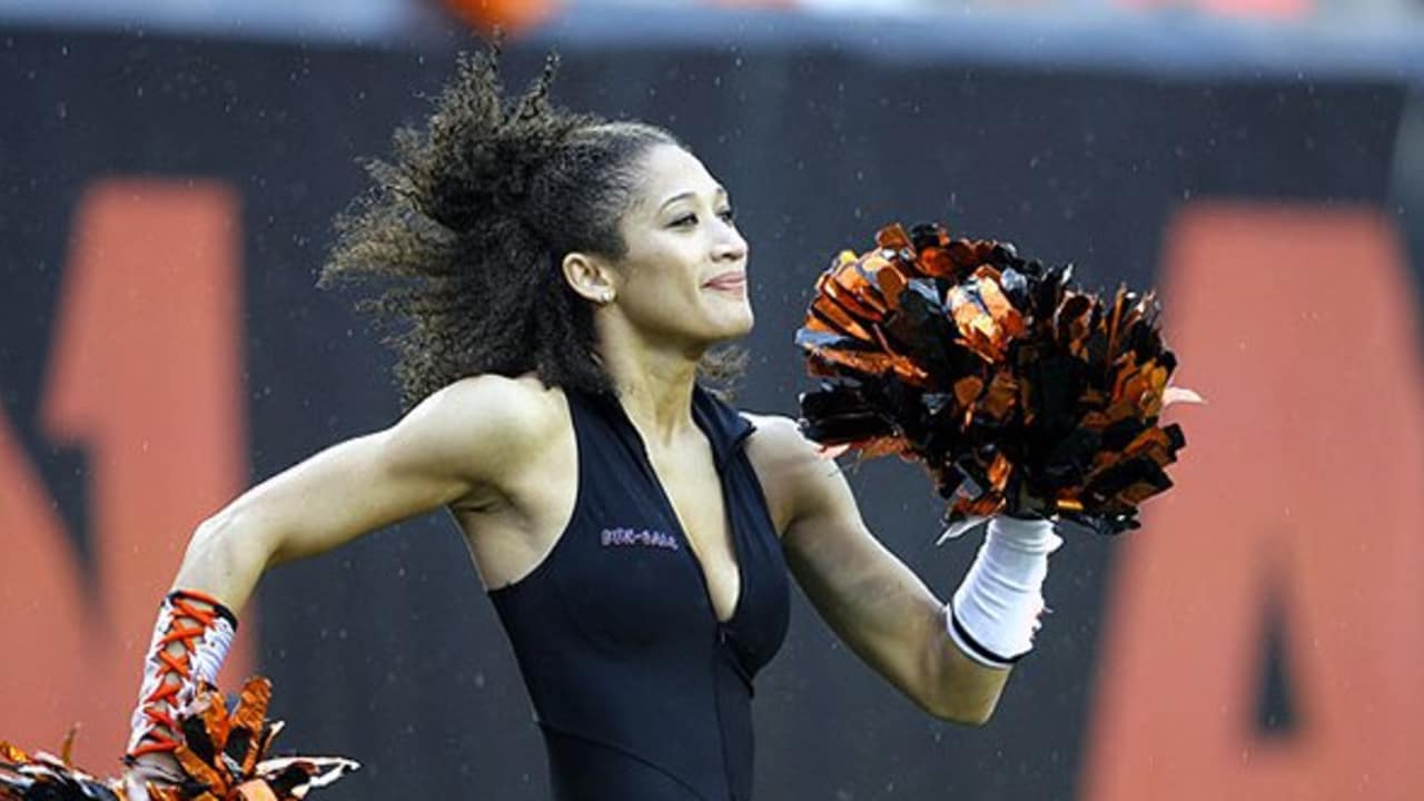 Action / On Field 2006:Bengals vs. Steelers (12/31/06)