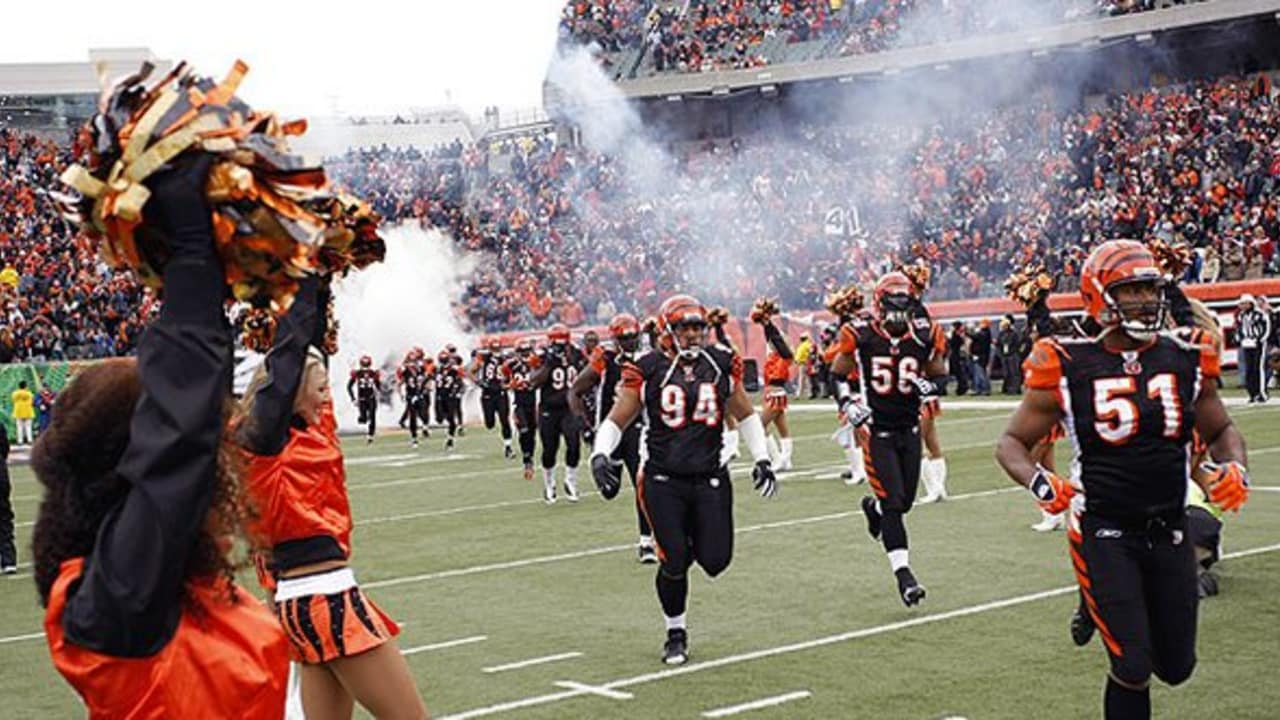 Game Action Galleries 2008:Eagles vs. Bengals (11/16/08)