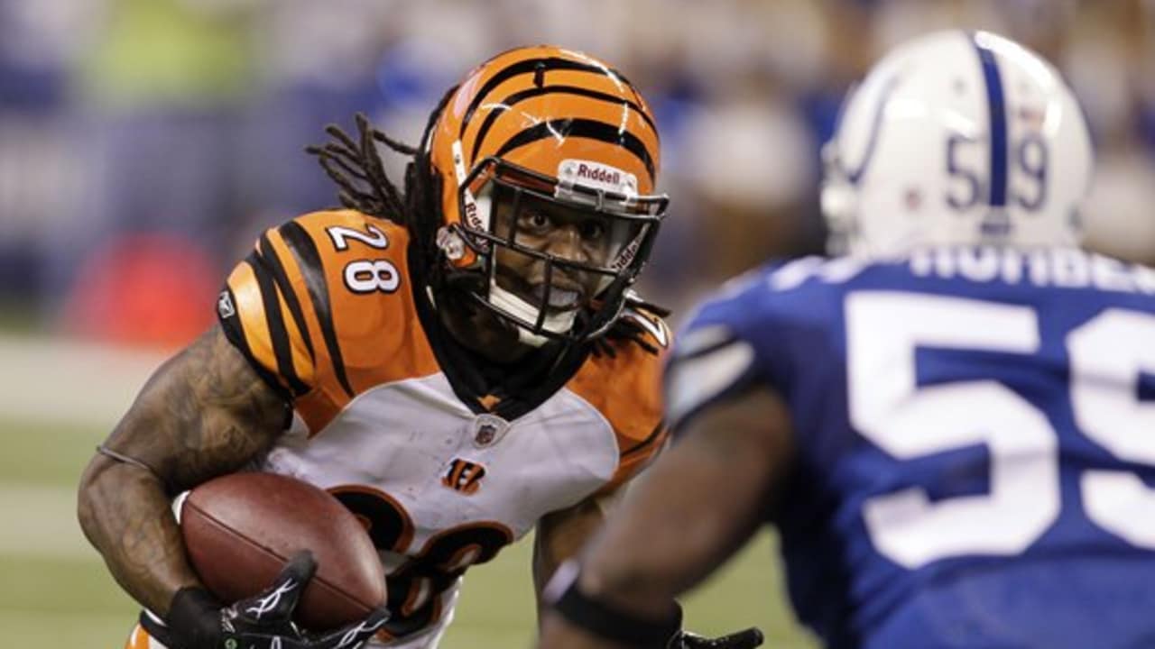 Bengals-Colts Photo Gallery (9/2/10)
