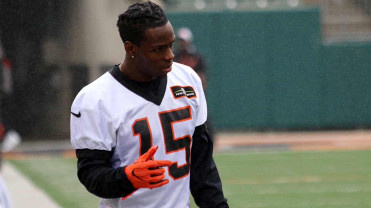 Ross tries to outrun 2017