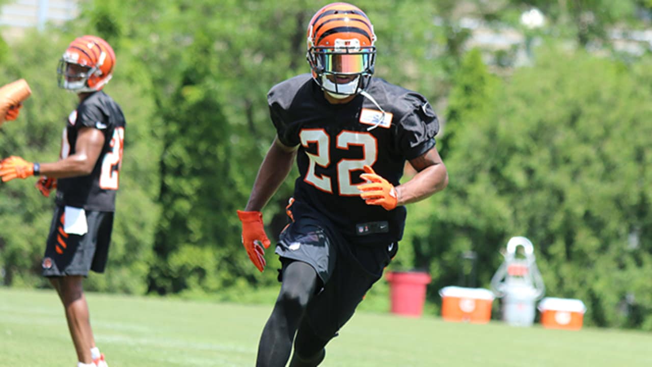 Hobson's Choice: schemes and dreams