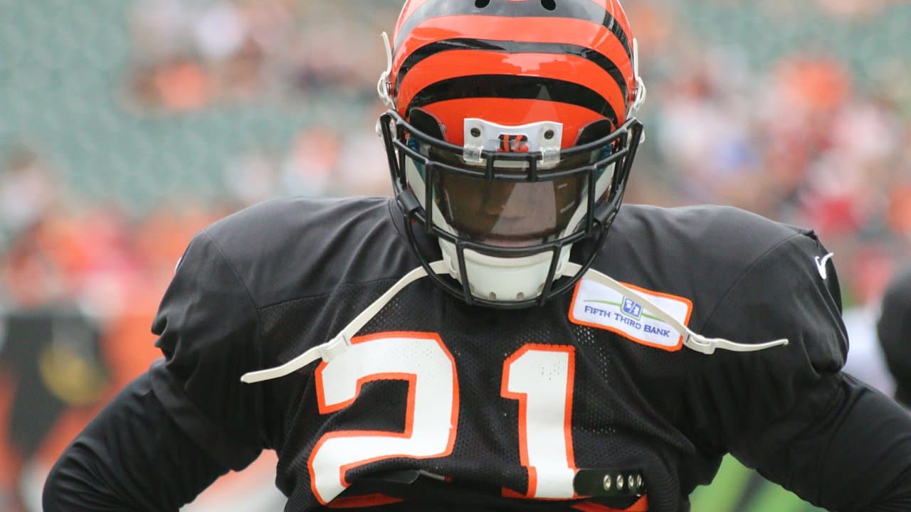 Bengals Family Day 08/09/2014