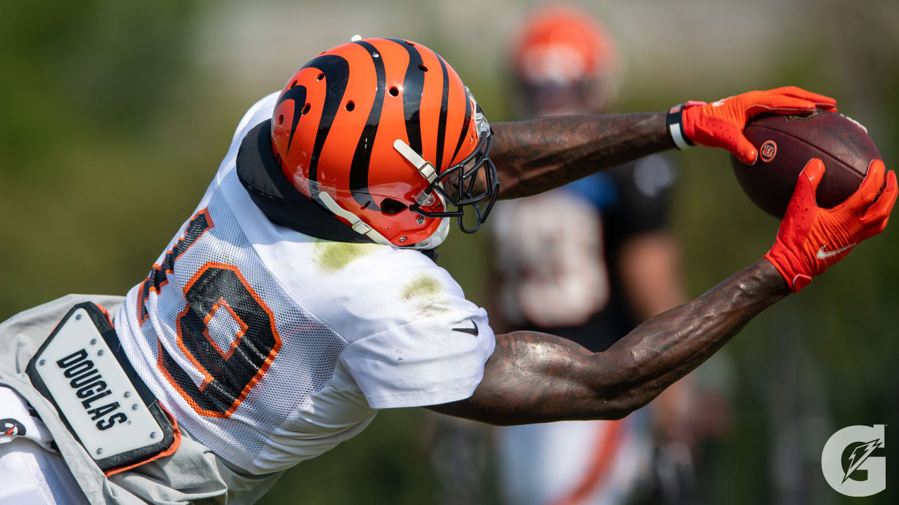 Photo Gallery: Bengals Training Camp Practice August 24 | Presented By ...