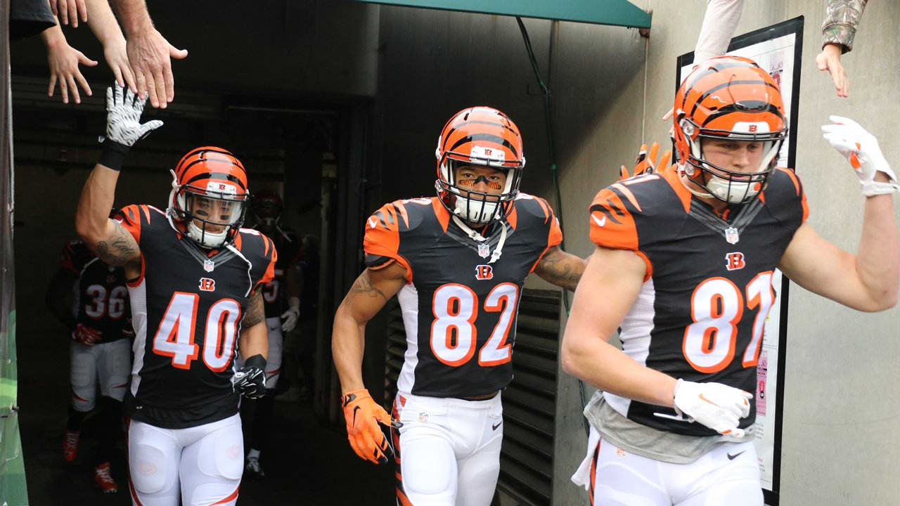 Pittsburgh Steelers at Cincinnati Bengals