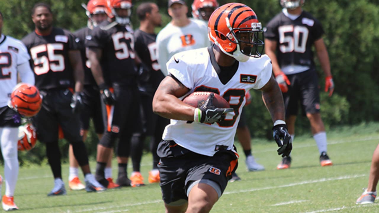 Early hits: Mixon recalls Dillon, models Peterson; Happy 29th to A.J ...
