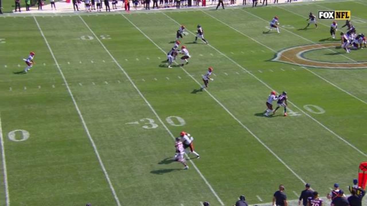 Bengals vs. Bears highlights Week 2