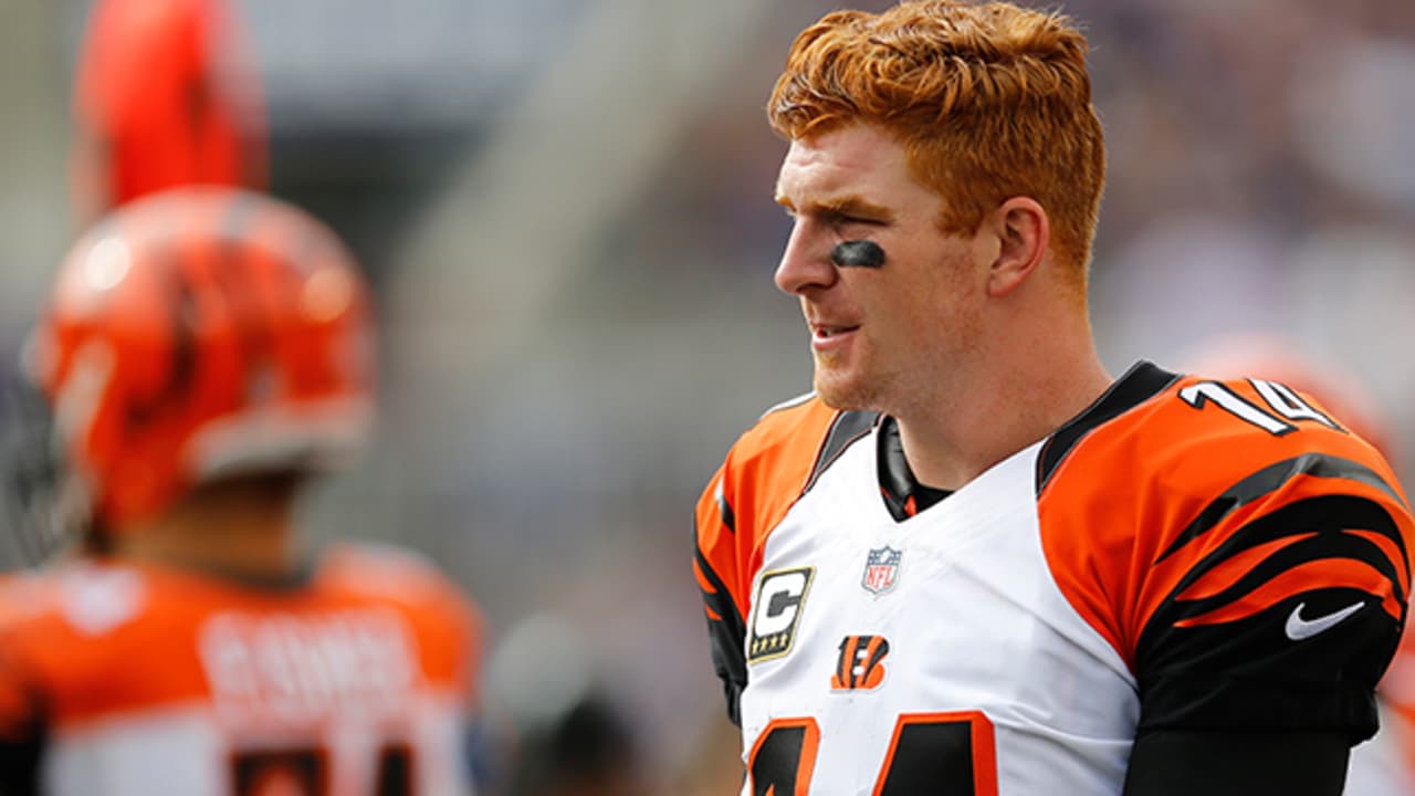 Dalton by the numbers