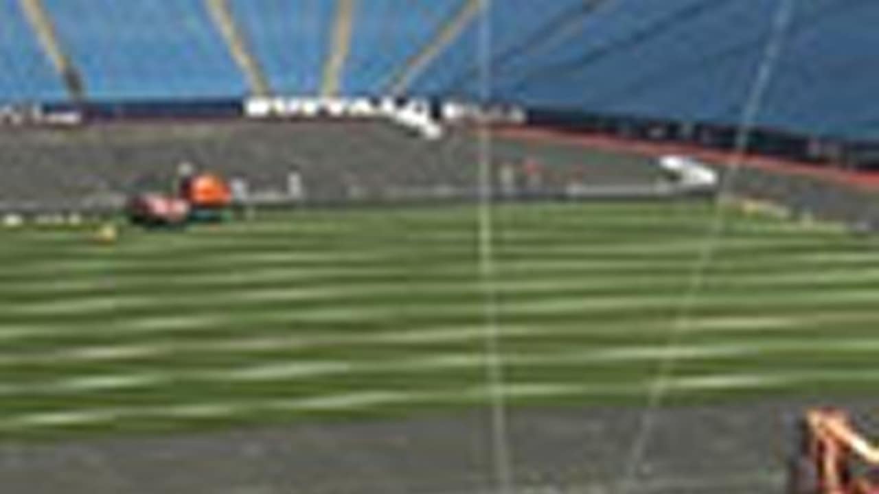 Bills Focus: New Turf Installed