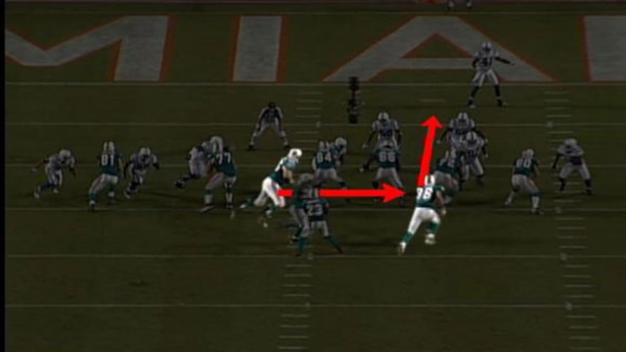 Week 4: Breaking Down the Wildcat