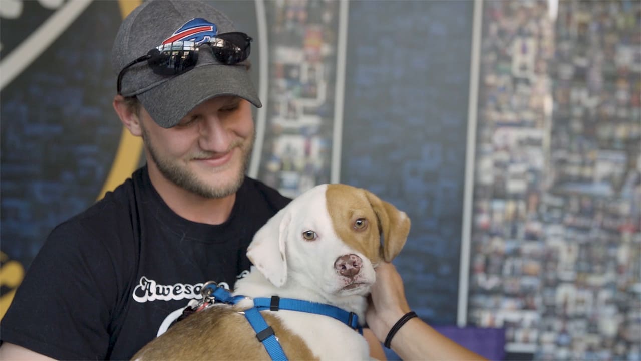 One Buffalo Pet Adoption helps families find the "One"