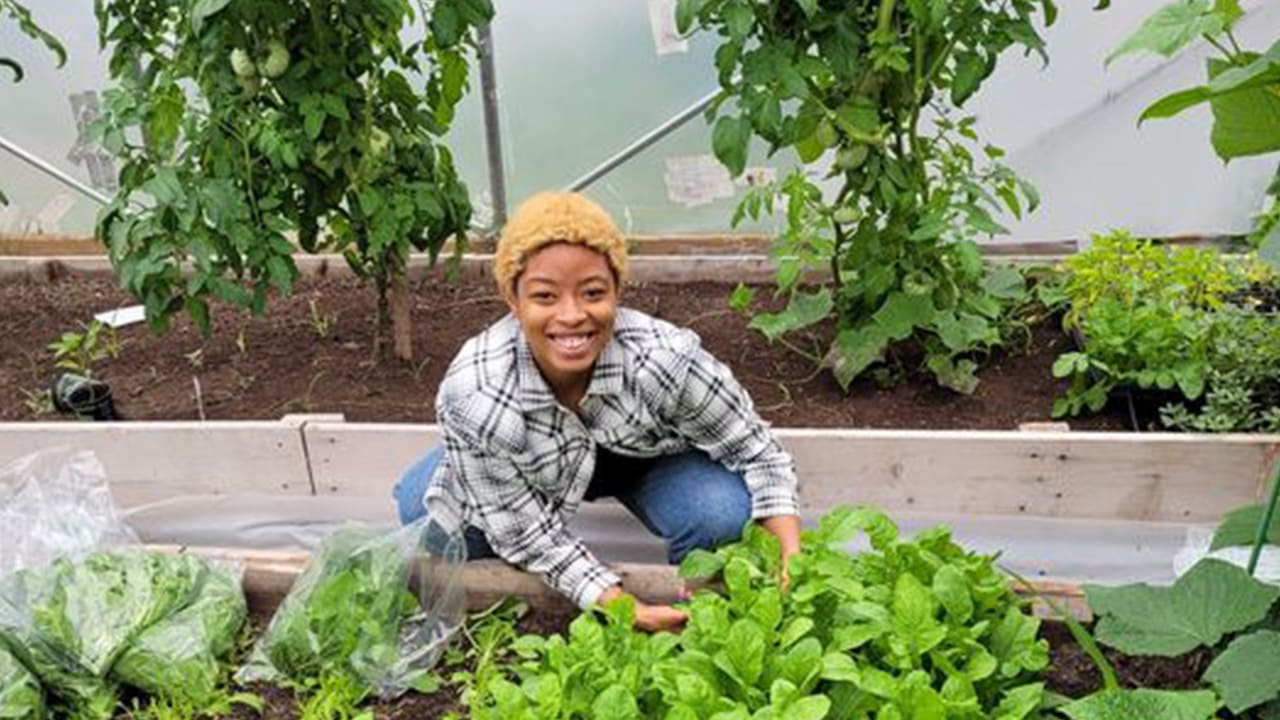 Buffalo Go Green to receive a $25,000 donation from the Bills Foundation