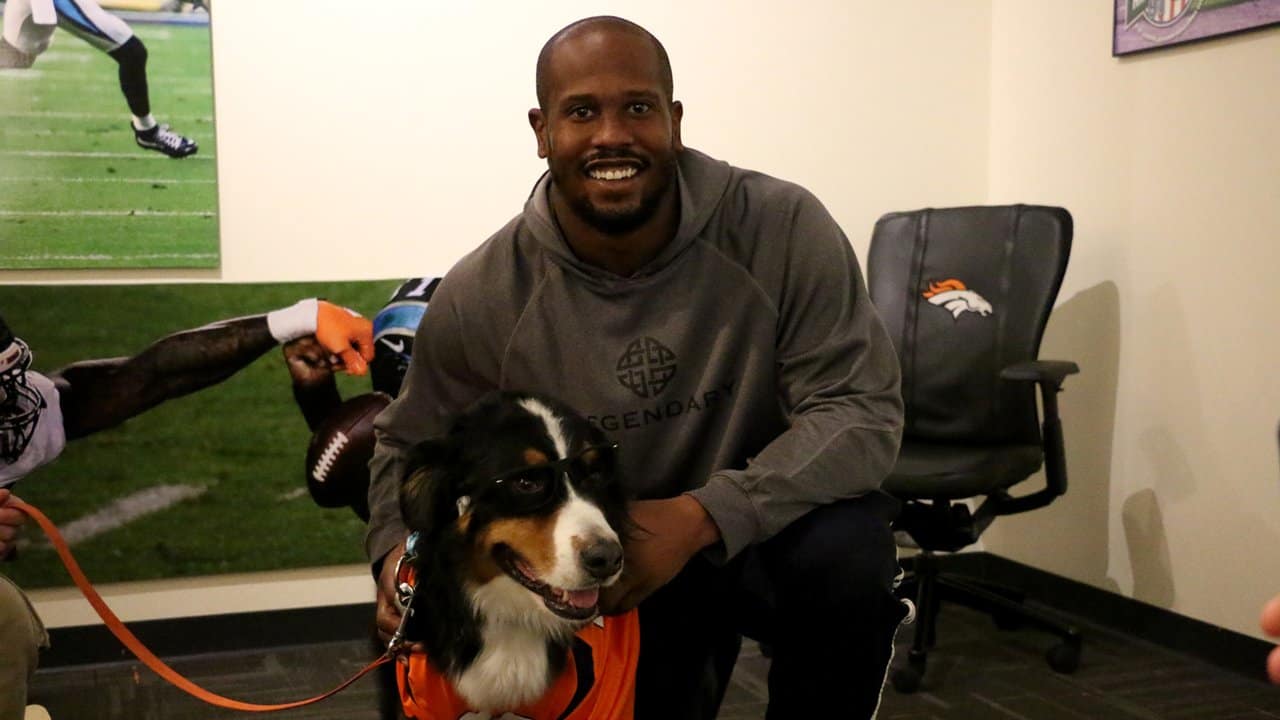 Dog days of winter: Von meets puppy twin