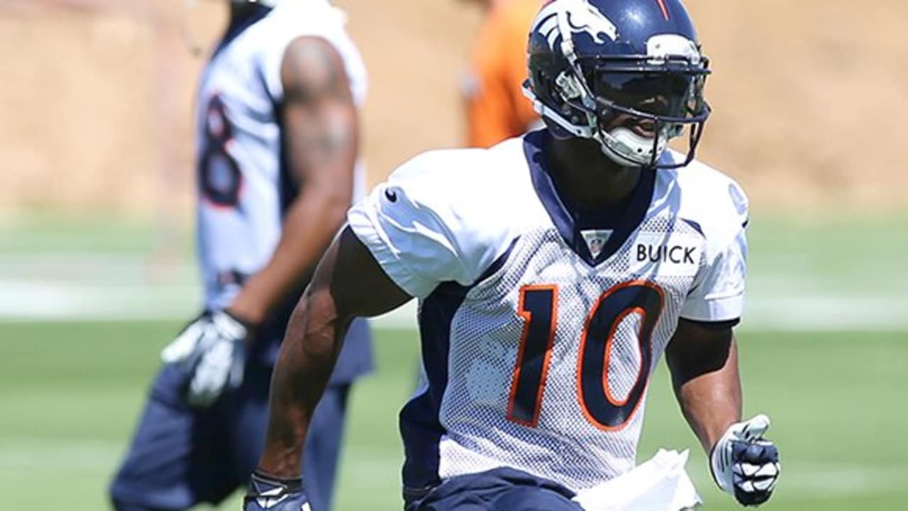 Sanders Making an Impression