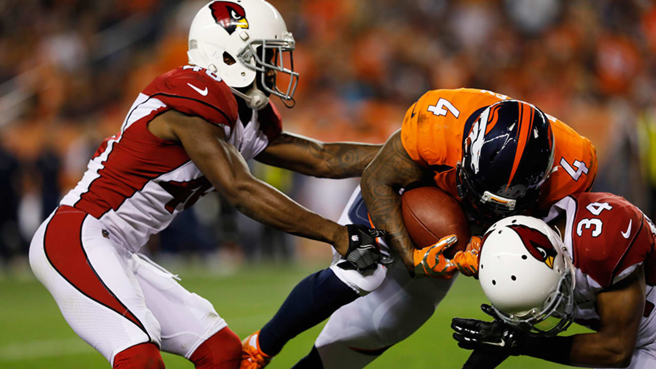 Stevan Ridley finds a crease for a touchdown