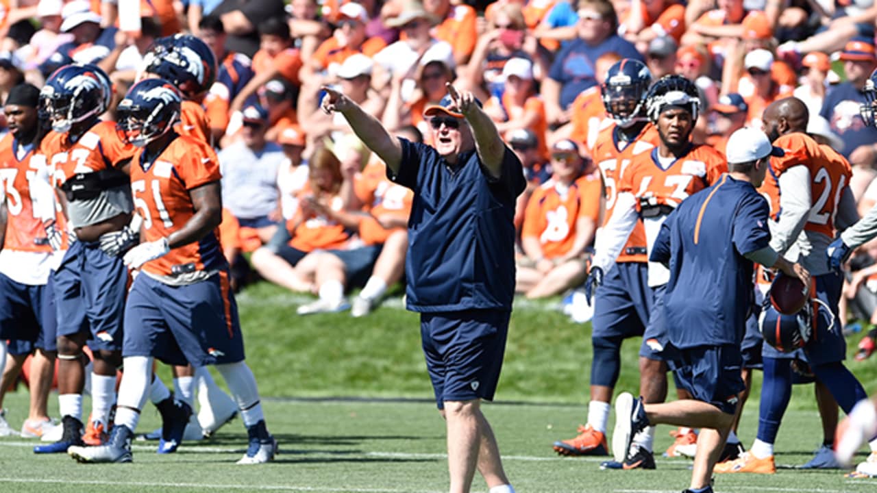 Defense's intelligence, depth create options for Wade Phillips