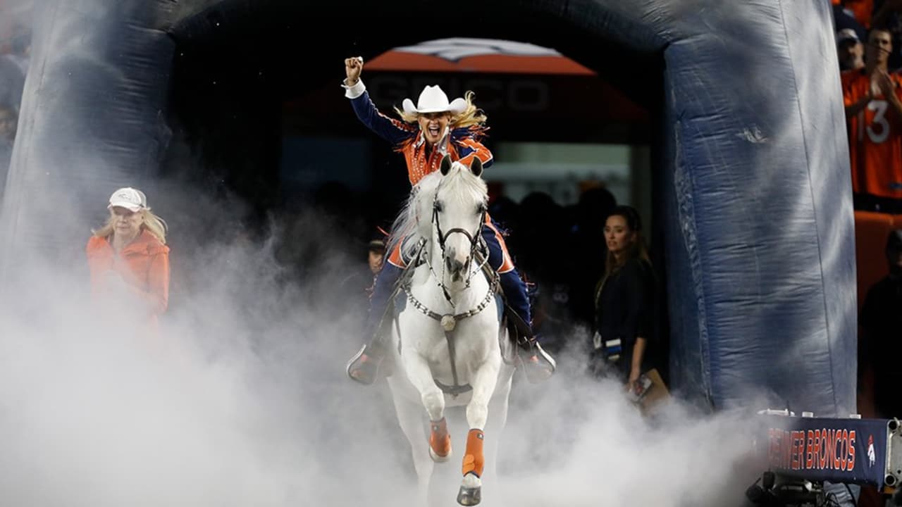 Thunder - Denver Broncos Mascot