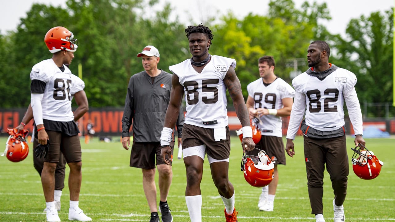 Photos: Browns Tight Ends for 2019 Training Camp