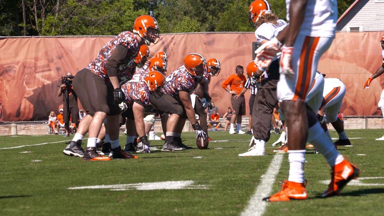 The Cleveland Browns 2015 Offensive Outlook