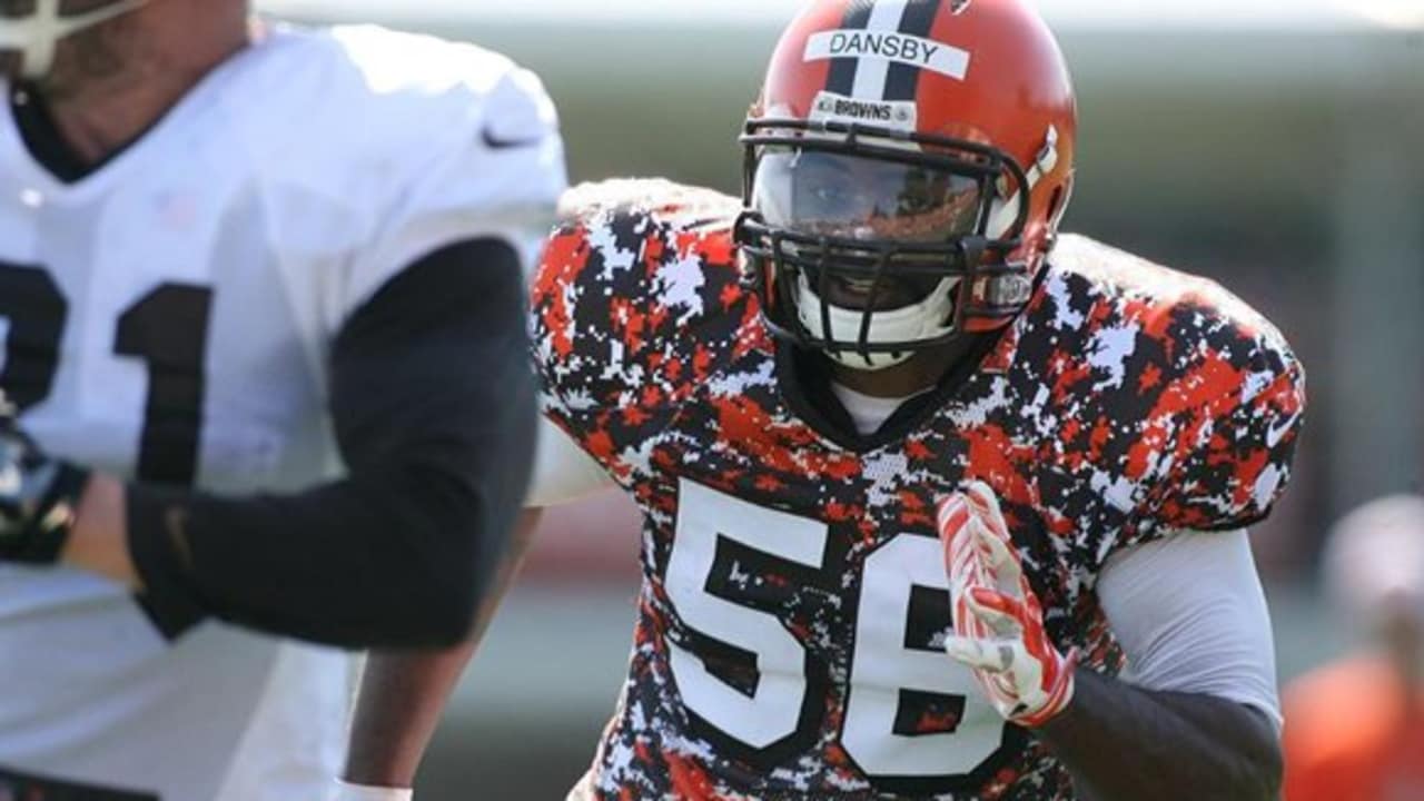 Karlos Dansby: On The Potential Of The Defense