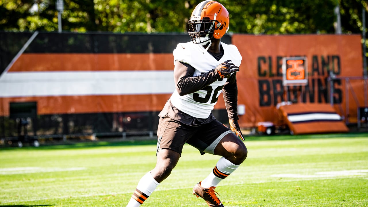 Browns sign LB Elijah Lee to active roster