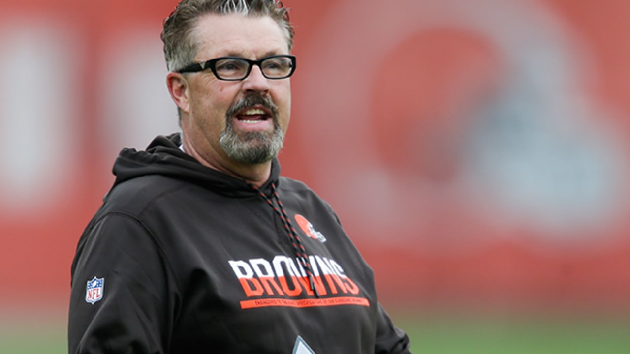 Browns DC Gregg Williams press conference - 6/15
