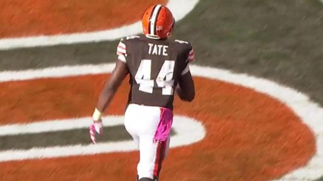 Ben Tate Scores Second Touchdown