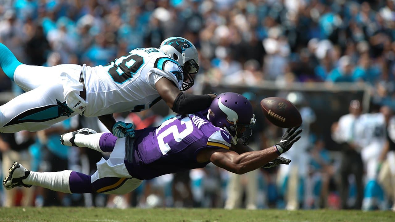 Photos: 10 Panthers to Keep an Eye On