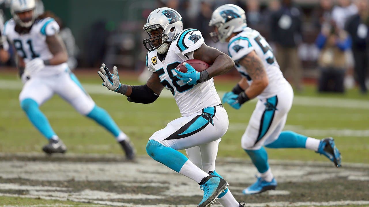 Photos: 10 Panthers to Keep an Eye On