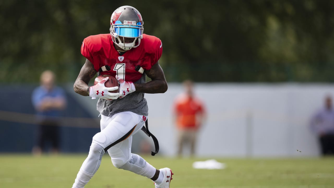 WRs Evans, Jackson Shine for Bucs in Tennessee