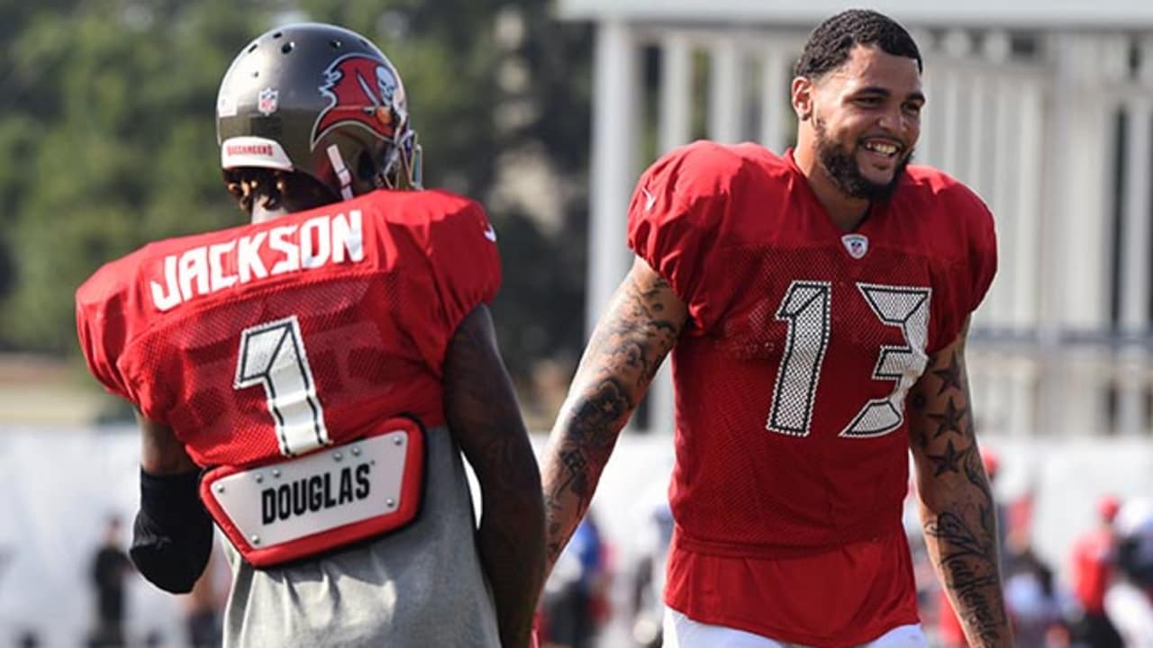 Evans, Jackson Among NFL's Top "Skill-Set Poster Boys"