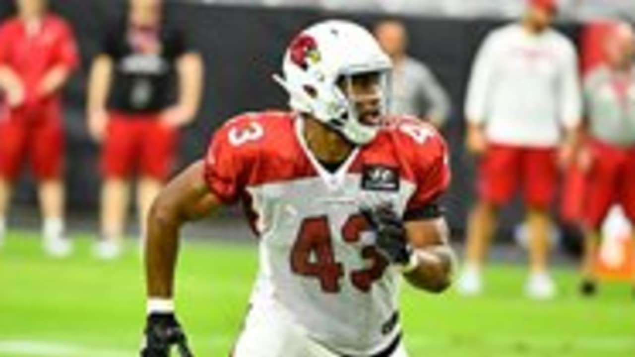 Echoes Of DWash In Versatile Haason Reddick