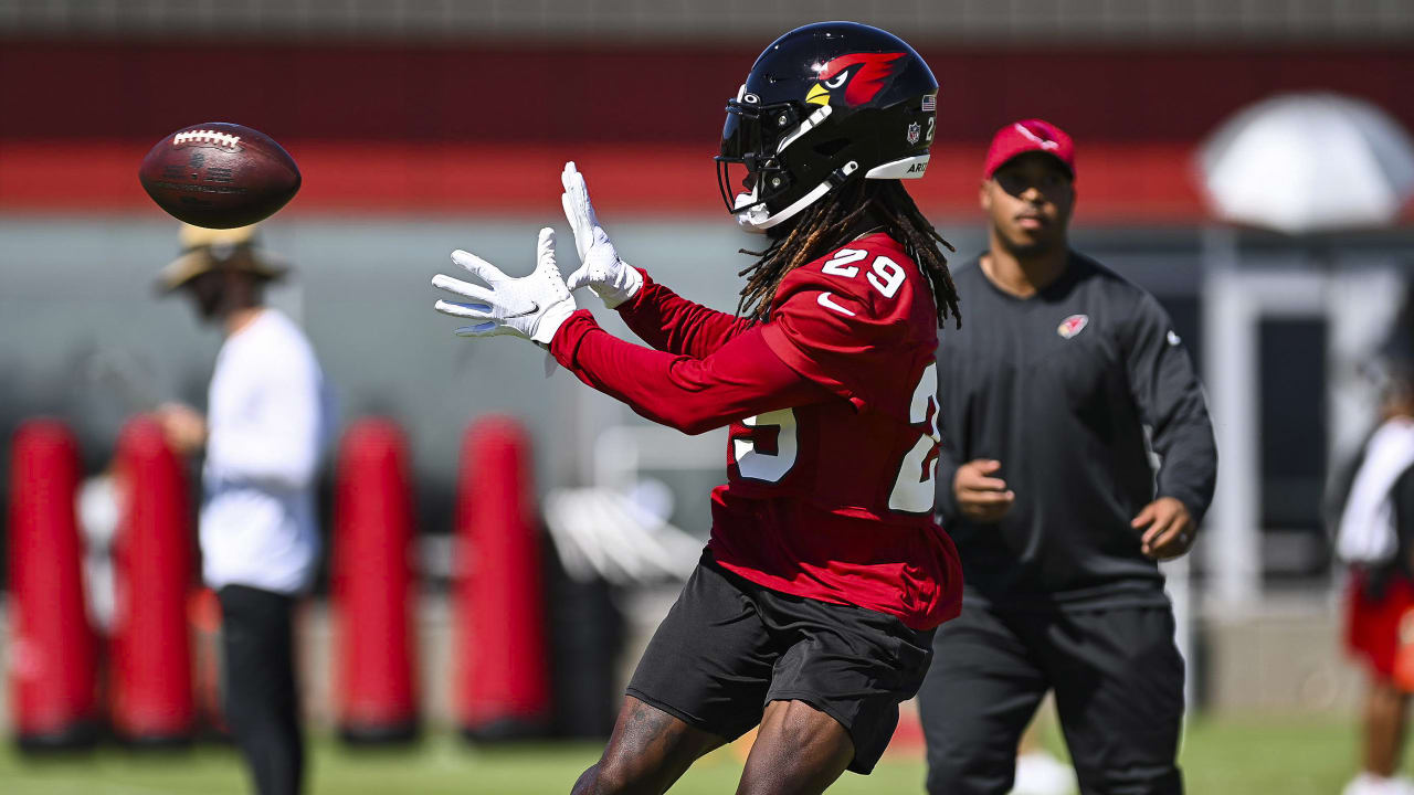 Cardinals Release Jonathan Ward