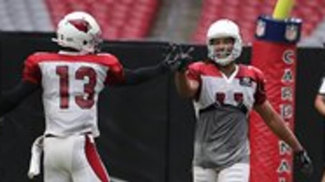 Larry Fitzgerald Leadership After WR Comments