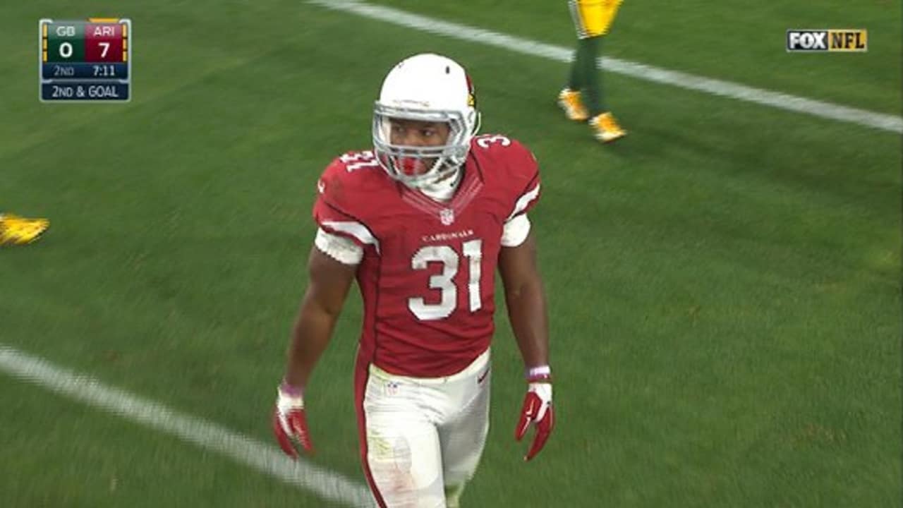 Week 16 David Johnson Highlights