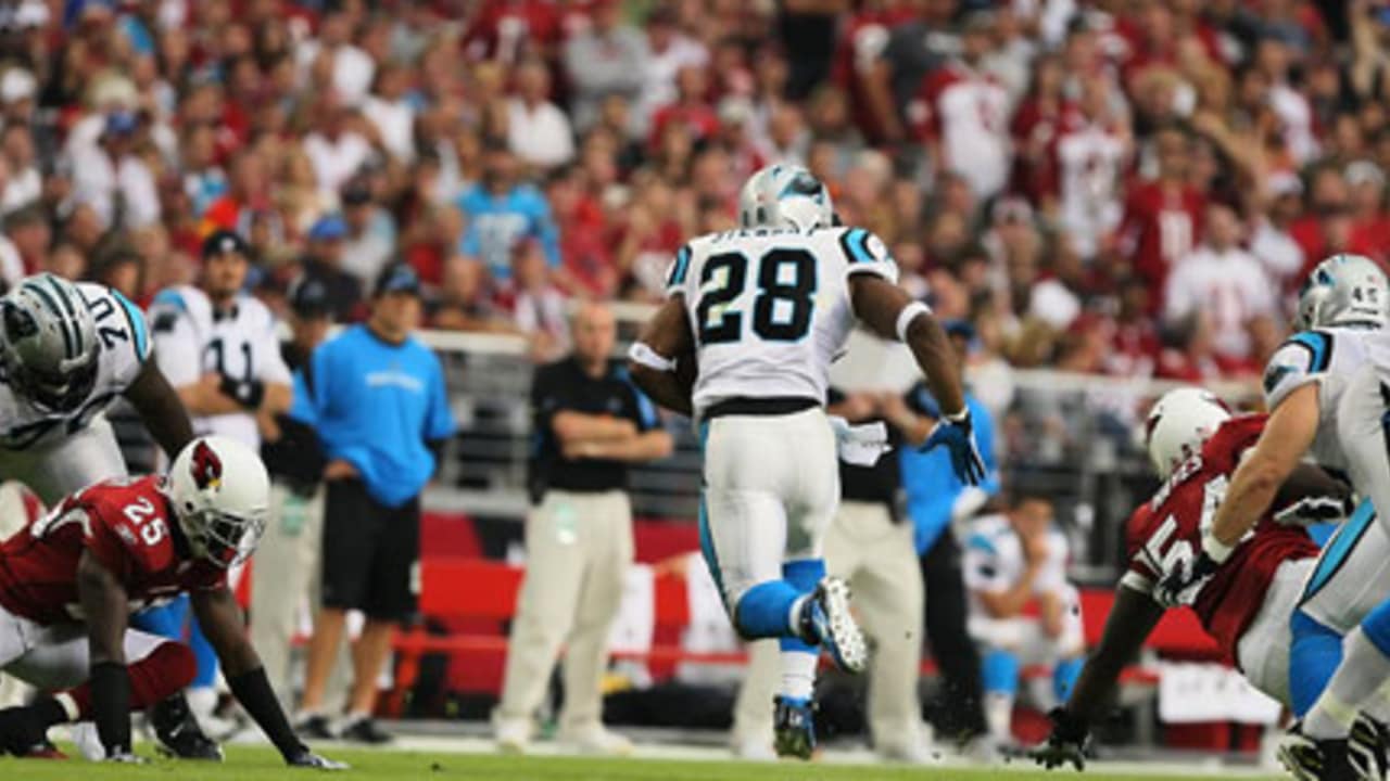 Panthers Run Past Cards