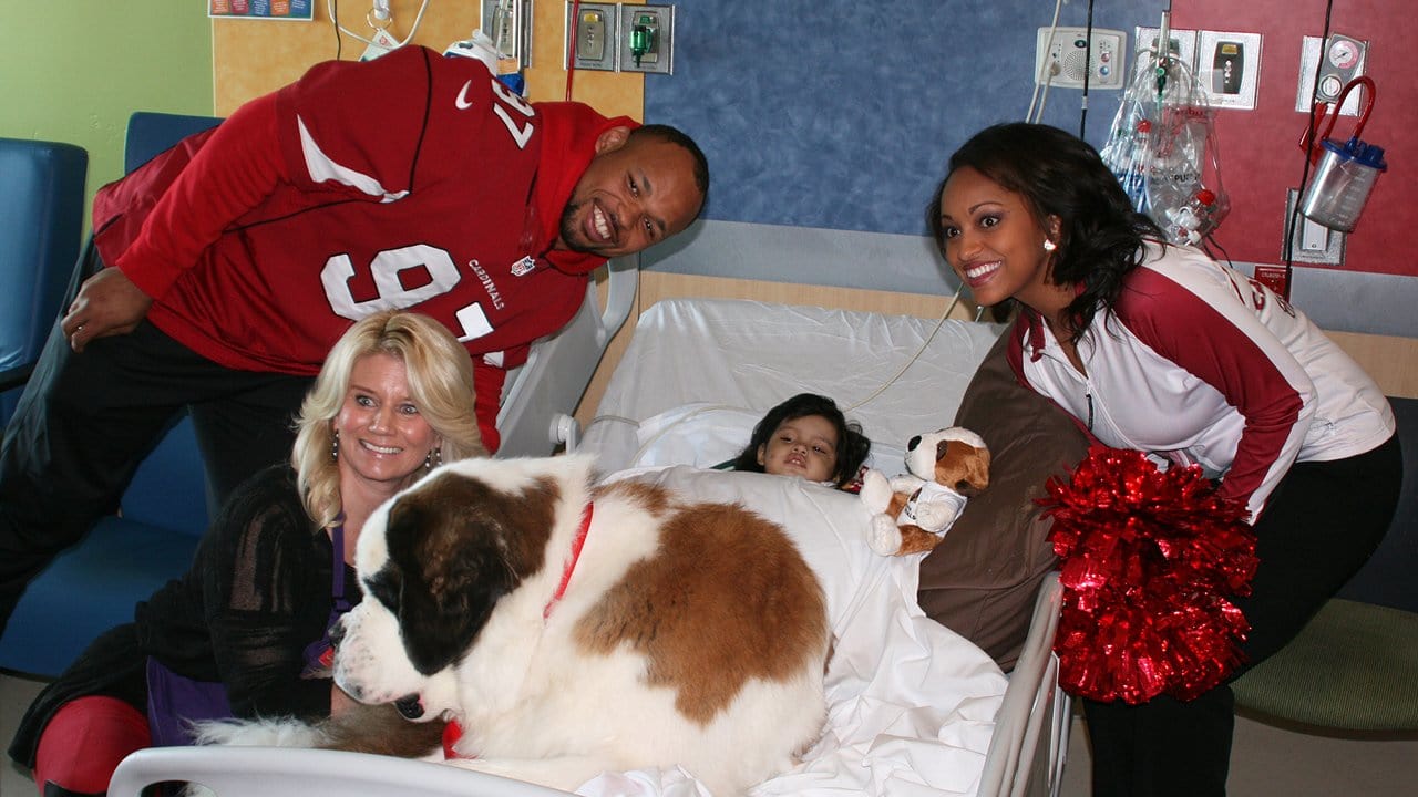 Teddy Bear Express 2013