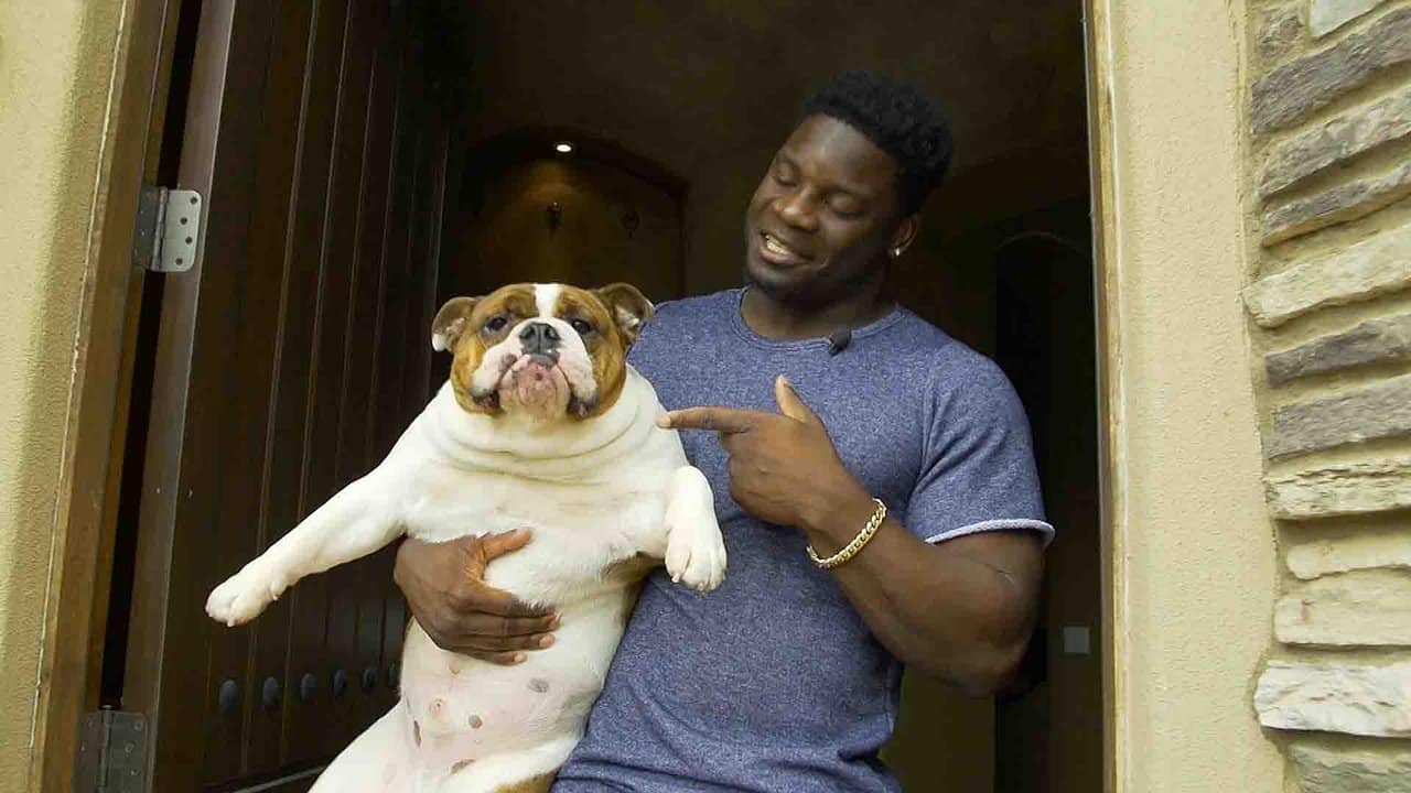 Bird's Best Friend - Sean Weatherspoon & Big Chuck