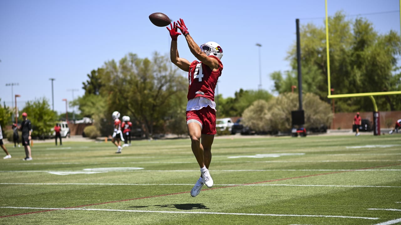 Michael Wilson Tiene Una Gran Oportunidad