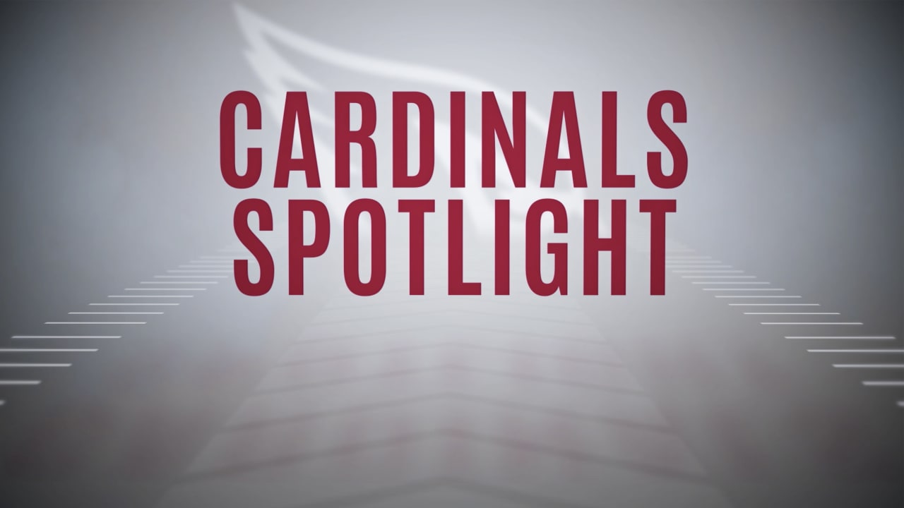 Spotlight - Teddy Bear Express